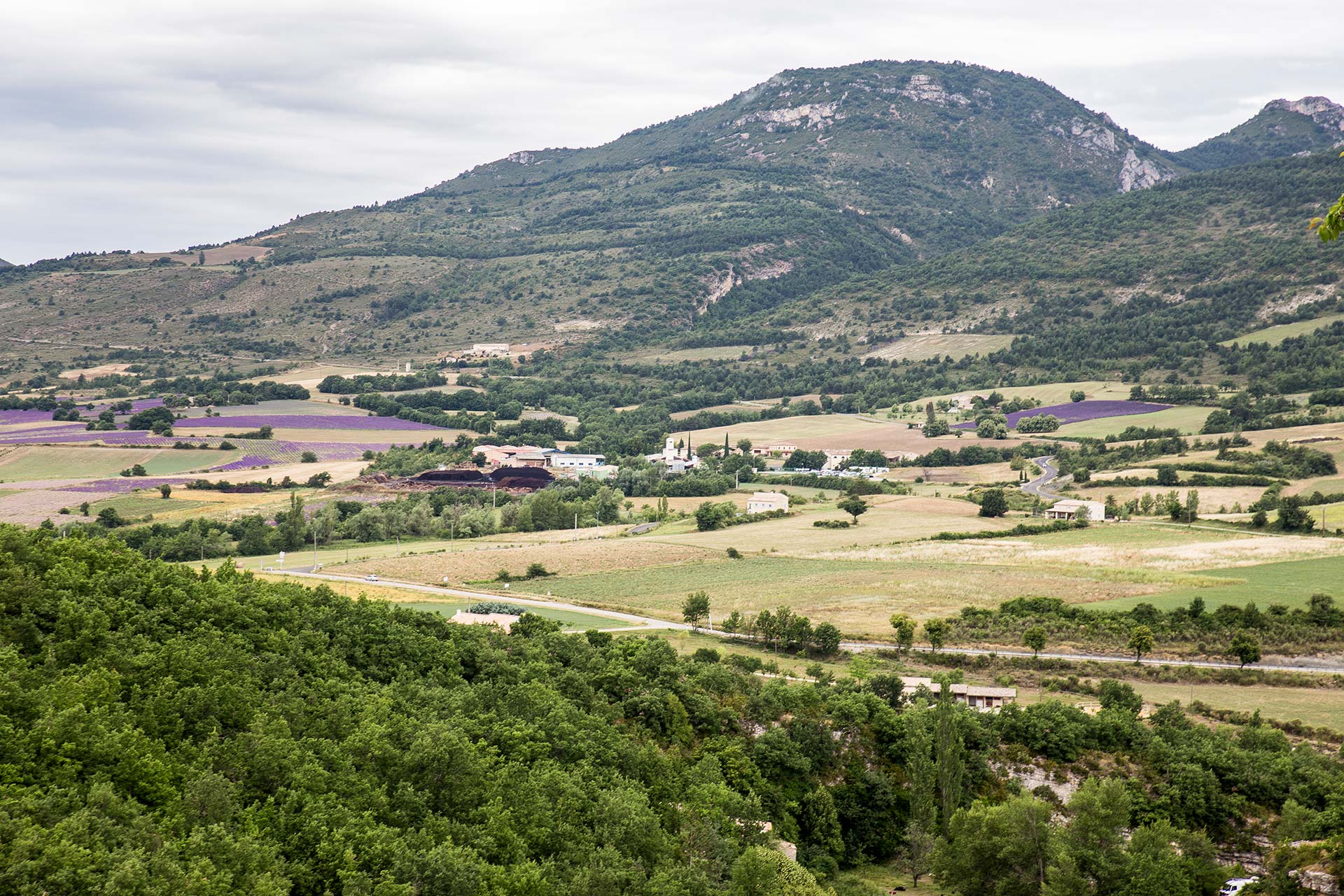 Bontoux company | Bontoux | Depuis 1898